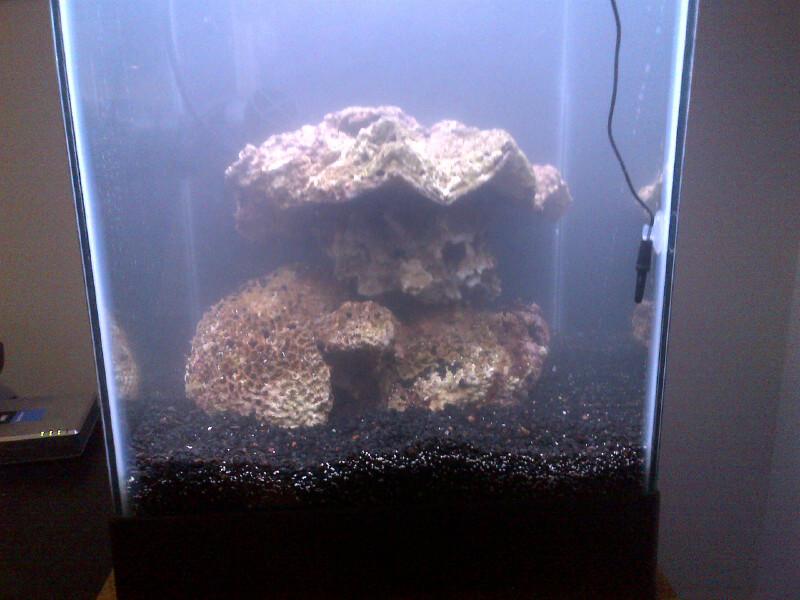 First Timer! Aqueon 15G Column Build - Beginners Discussion - Nano-Reef ...