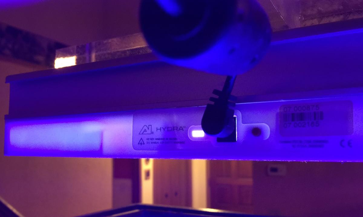 AI Hydra + Wireless controller - Hardware Classifieds - Nano-Reef Community