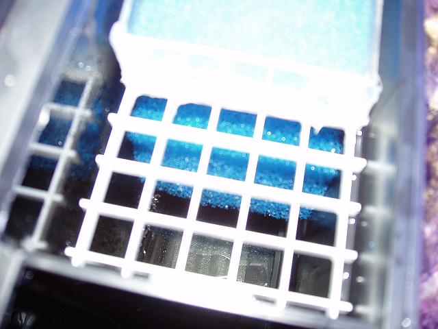 oceanic biocube 29 gallon filter diy - DIY Projects - Nano-Reef Community