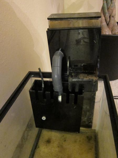 FS: AquaC Remora Protein Skimmer w/ Maxi-Jet 1200 Pump - Hardware ...