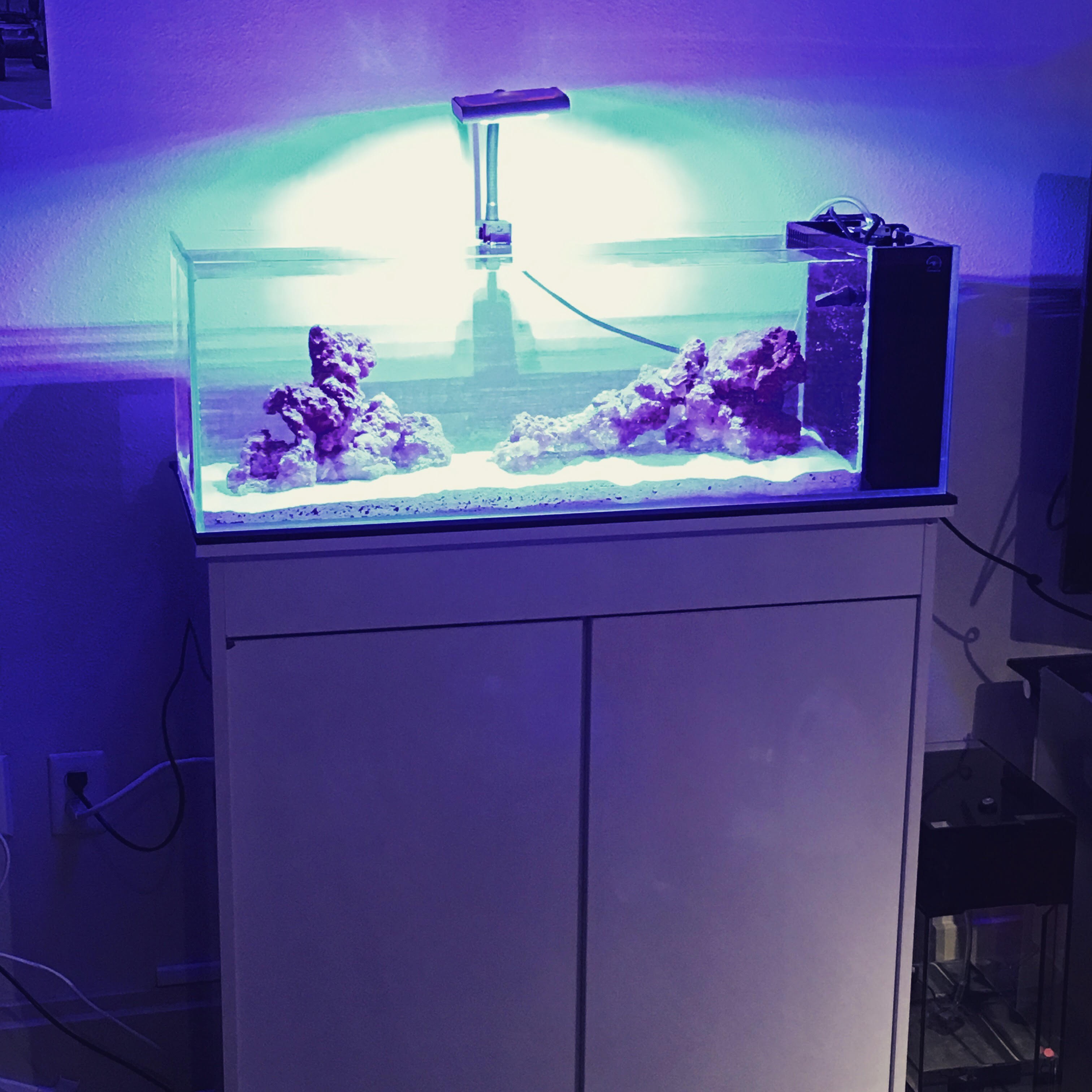 Marine Pure Balls for reef tank? - Beginners Discussion - Nano-Reef ...