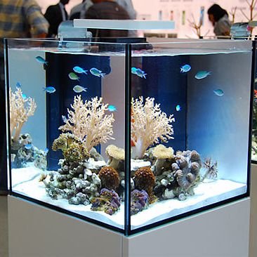 FS: ELOS Mini 20 Marine Reef Aquarium Complete Setup - Made in Italy ...