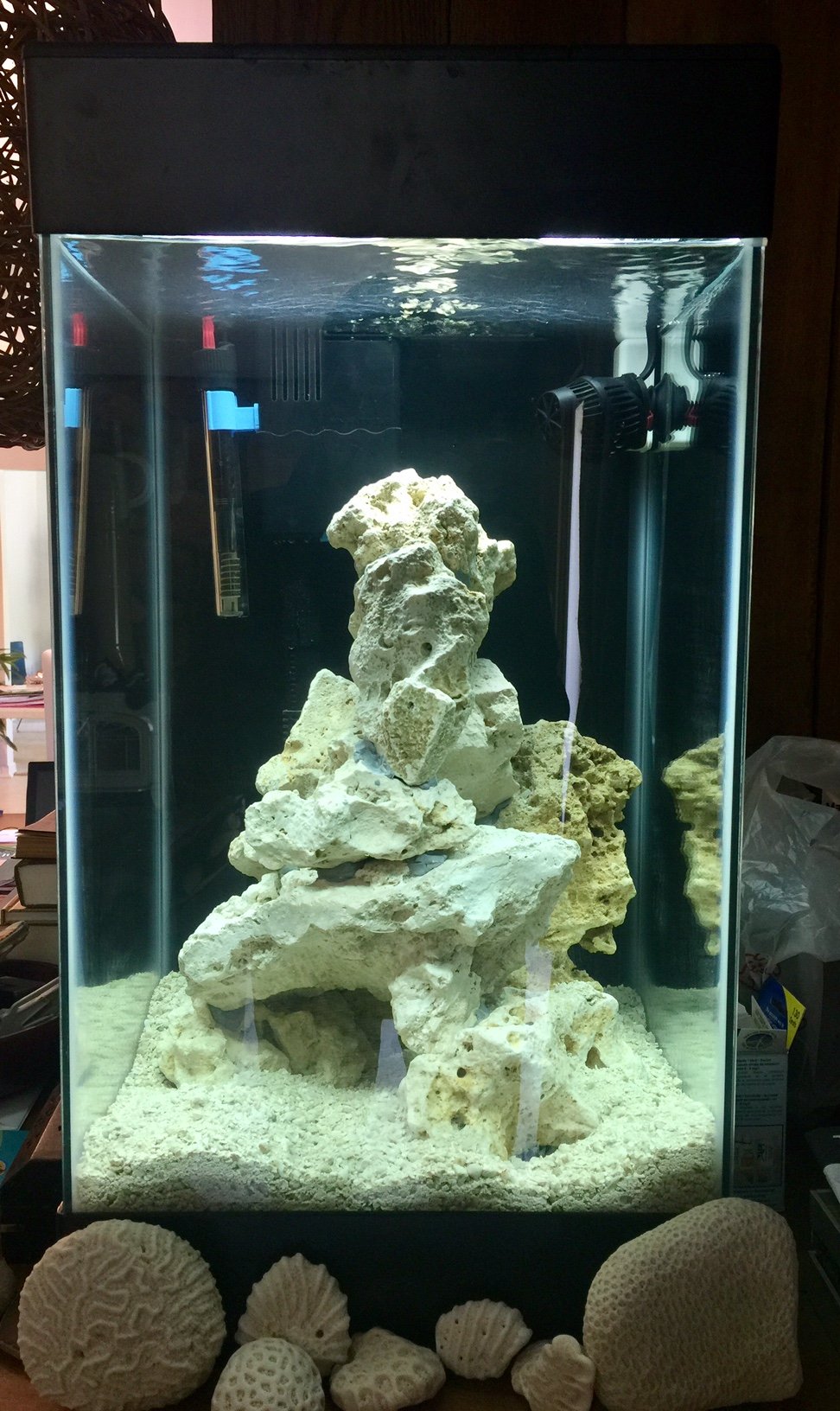 new 15gal column reef build - Beginners Discussion - Nano-Reef Community