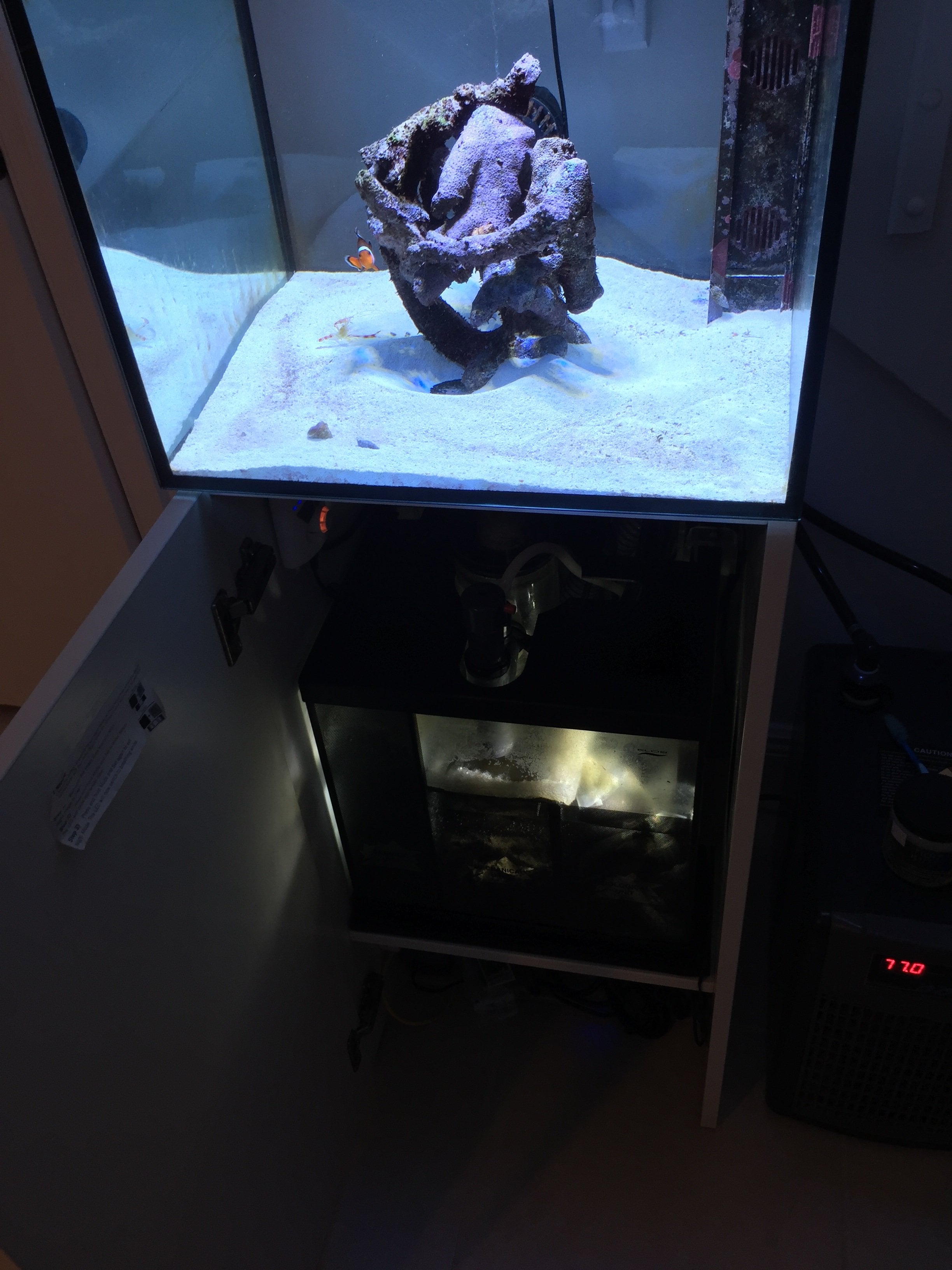 FS: ELOS Mini 20 Marine Reef Aquarium Complete Setup - Made in Italy ...
