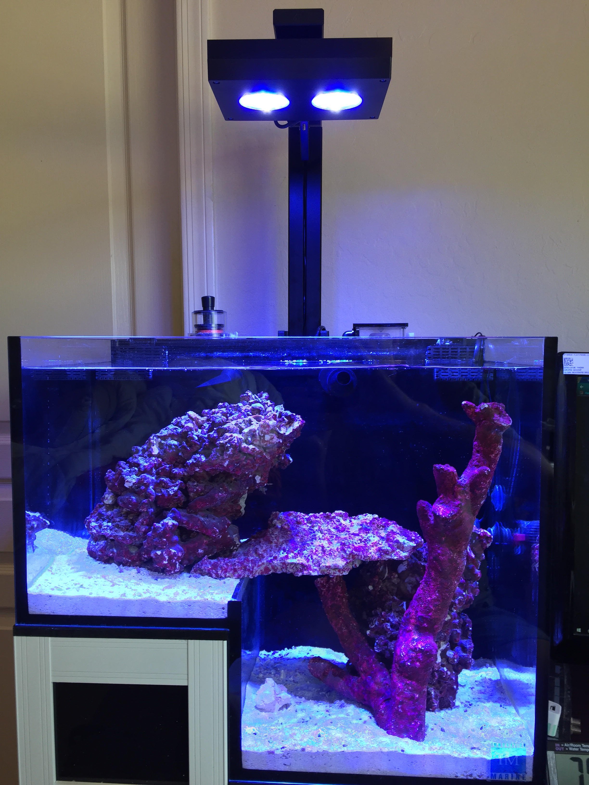 New IM Nuvo Concept Abyss Panorama Glass 20 G - Nano Reef Journals ...