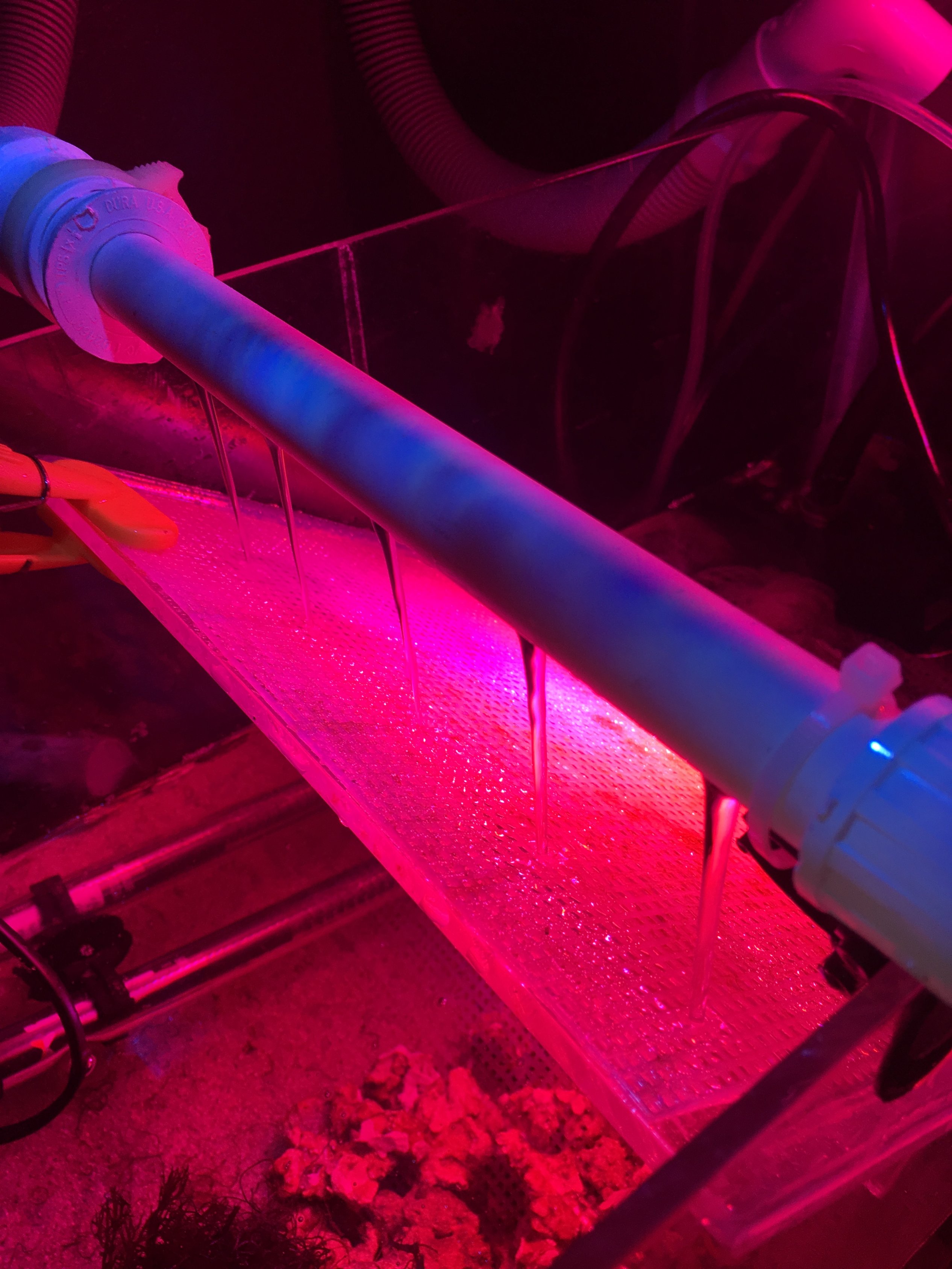 Algae Scrubber DIY - DIY Projects - Nano-Reef Community