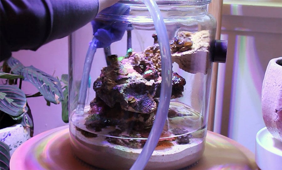 How to Perform a Water Change on a Pico Jar - Beginners Articles - Nano ...