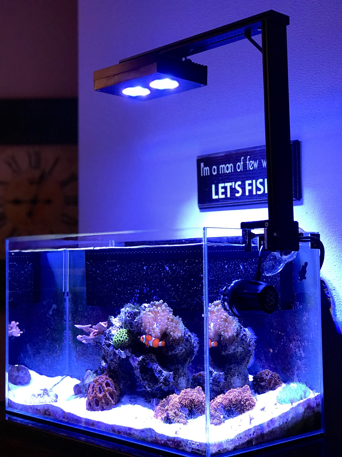 ADA - the 2 island reef - Nano Reef Journals - Nano-Reef Community