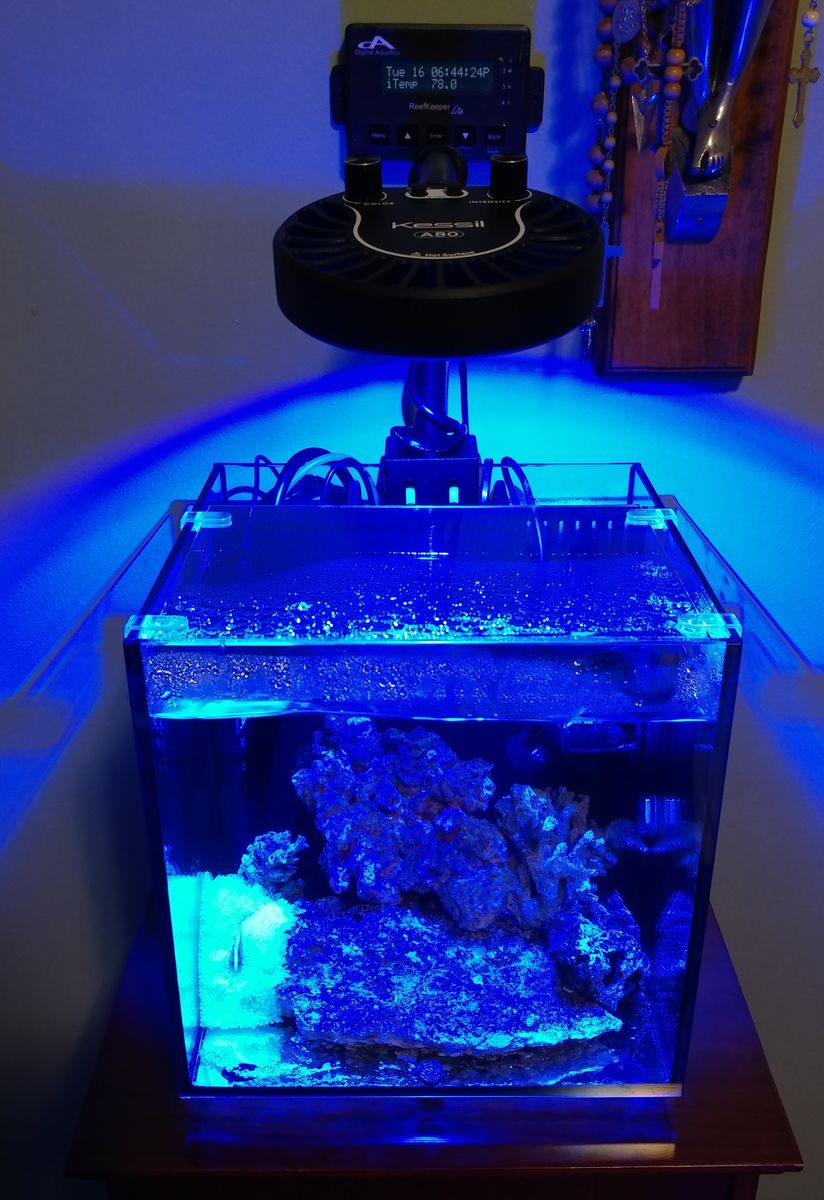 5g AIO Nano reef - System Setups - Nano-Reef Community