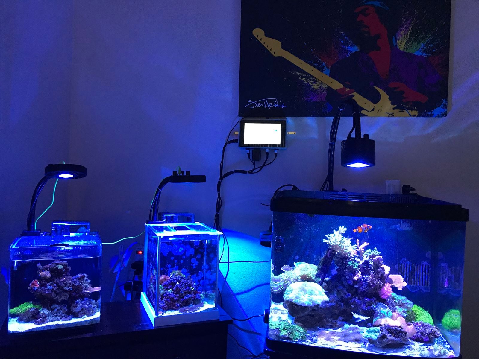 Reef tanks controlled by reef-pi 2nd build - System Setups - Nano-Reef ...