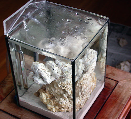 Angled Front View - Community Photos - Nano-Reef Community