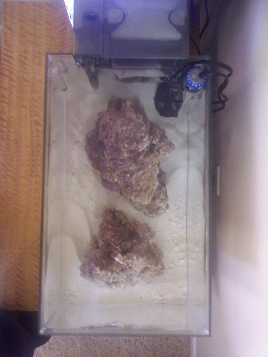 Top view 10 gallon ADA - Community Photos - Nano-Reef Community