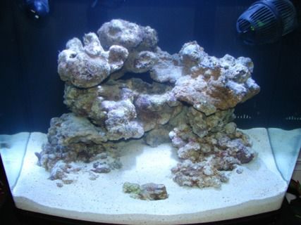 Live Rock Setup - Community Photos - Nano-Reef Community