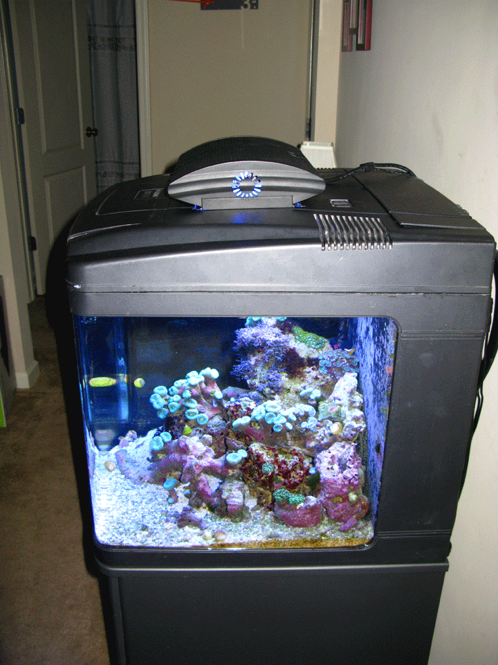 modified hood - Community Photos - Nano-Reef Community