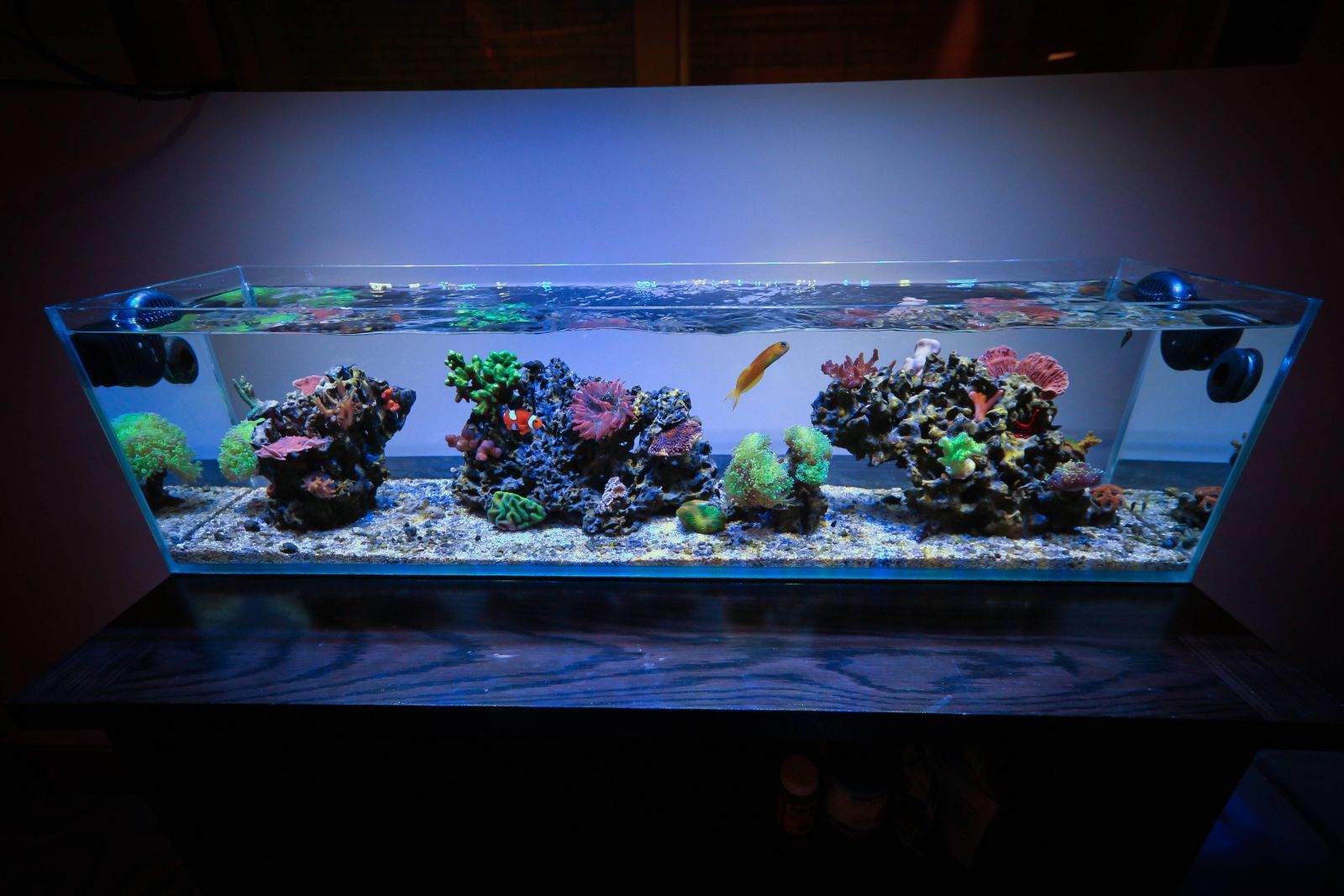3 Foot Office Nano - Wide Angle Full Tank Shot - Tank Shots - Nano-Reef ...