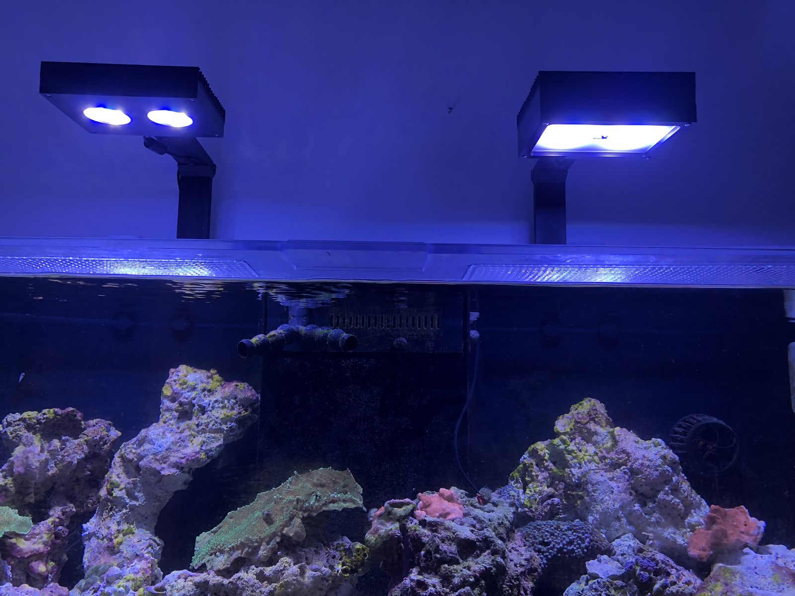 My DIY AI Hydra 26 Diffuser - Lighting Forum - Nano-Reef Community