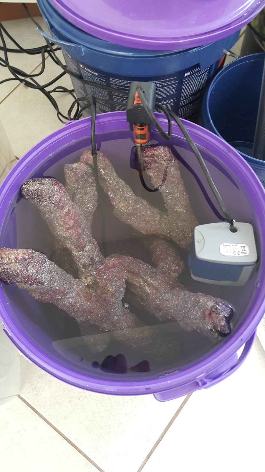 live rock leaching phosphate - Biological Filtration - Nano-Reef Community