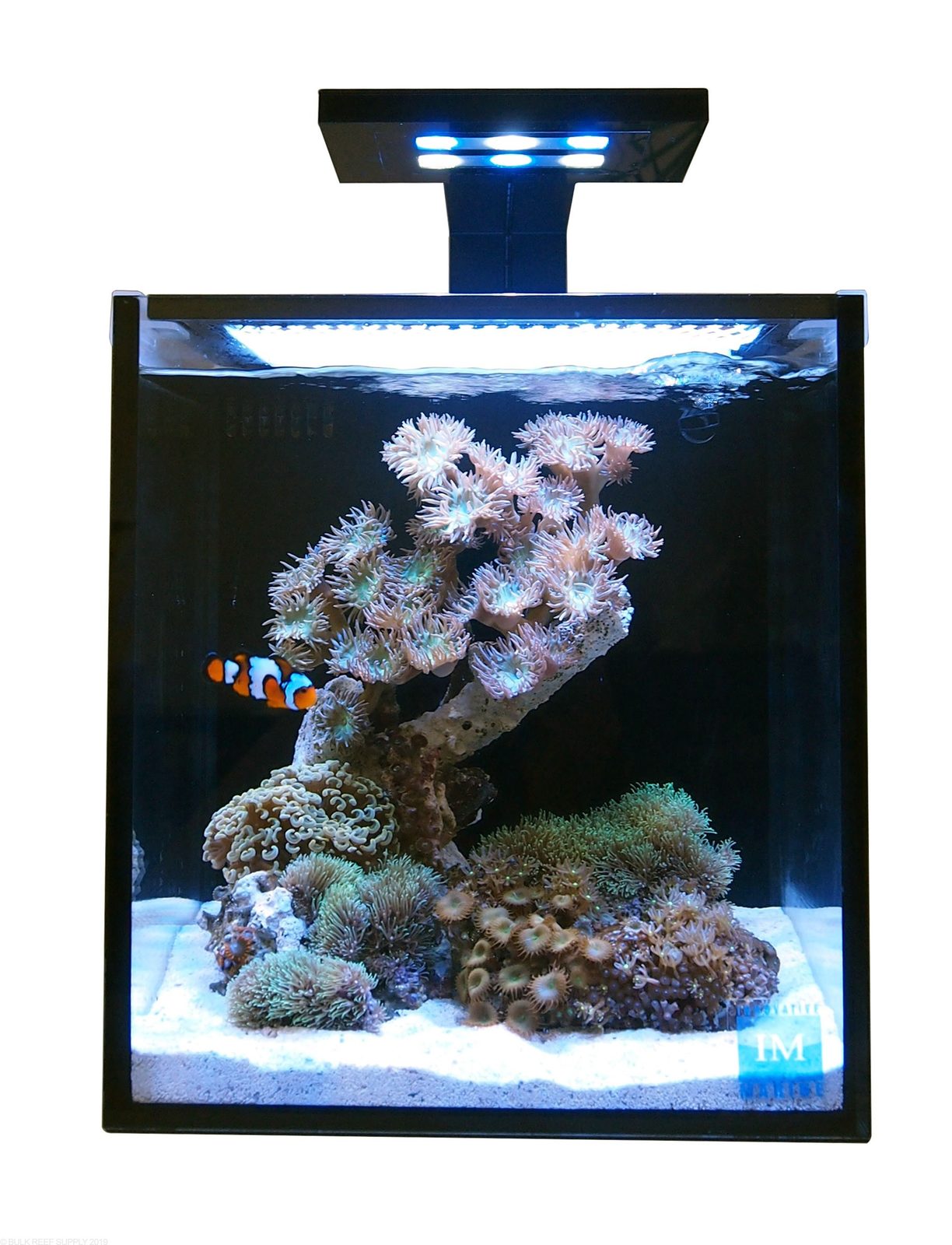 Waterbox 10 vs IM Nuvo 10 - General Discussion - Nano-Reef Community