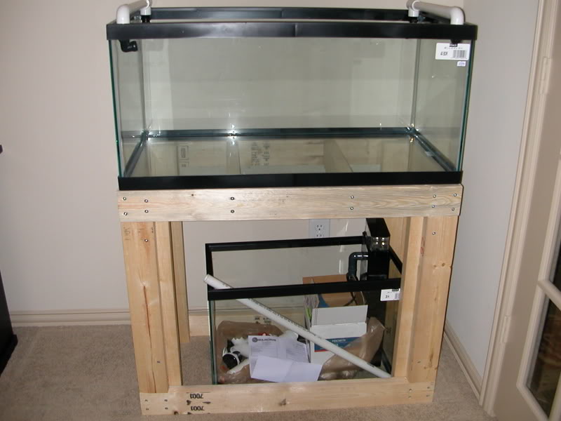 B-Dare's 40 Breeder - Page 2 - Nano Reef Journals - Nano-Reef Community