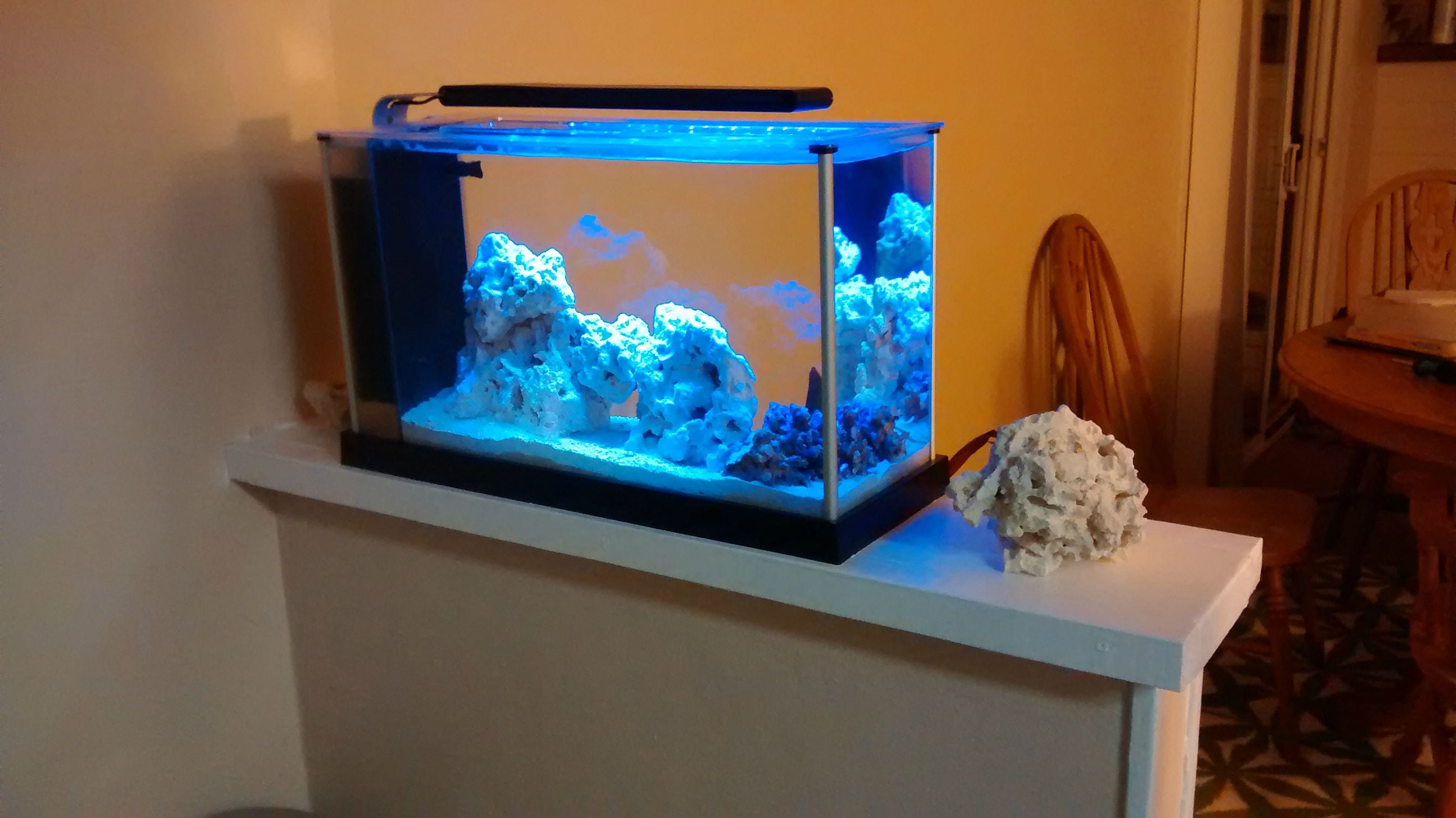 Wattman's Fluval Spec V build - Pico Reef Journals - Nano-Reef Community
