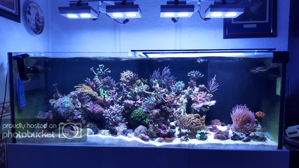 Custom build 100 gallon with a DIY Algae Turf Scrubber. - Large Reef ...