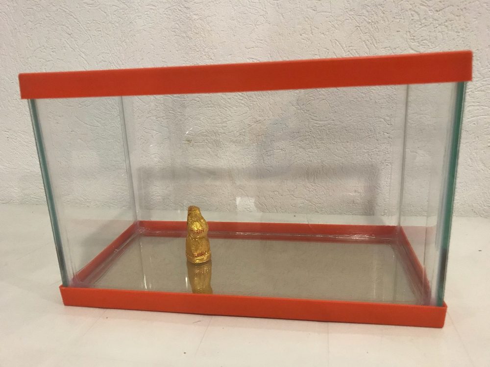 Long time lurker, first janky Pico Reef - Pico Reef Journals - Nano ...