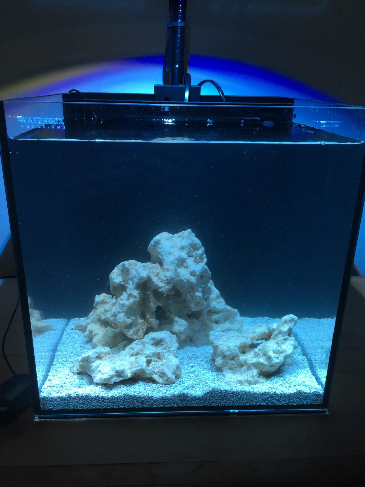 Billy's 4g Waterbox Cube 🐳 - Pico Reef Journals - Nano-Reef Community