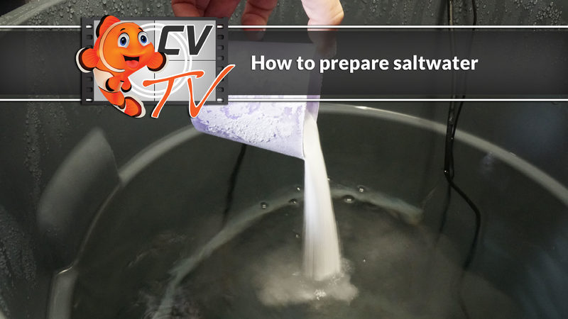 ↪ NEW VIDEO: Start making saltwater at home! 🏠 - CoralVue - Nano-Reef ...