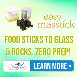 ↪ NEW VIDEO: How to Feed Easy Masstick to Your Fish! 🐠 - CoralVue ...