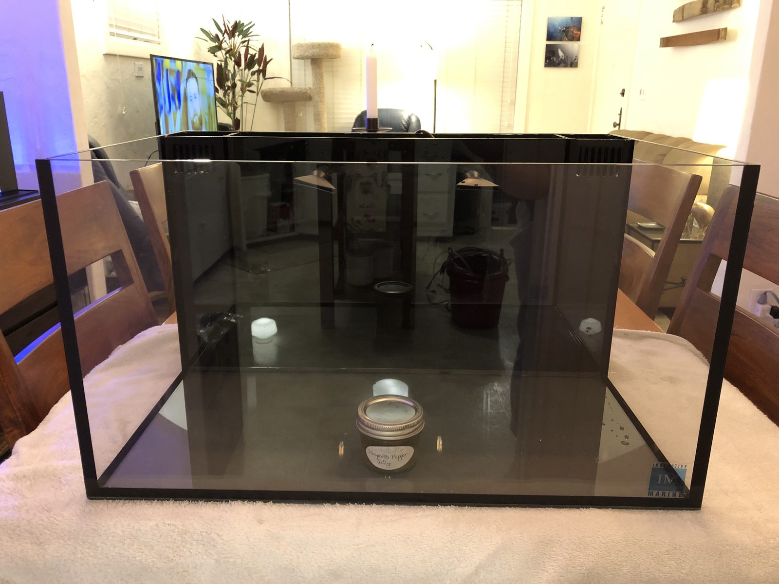 365 Day All-in-One Nano Reef Challenge 🏁 - Page 33 - General Discussion ...