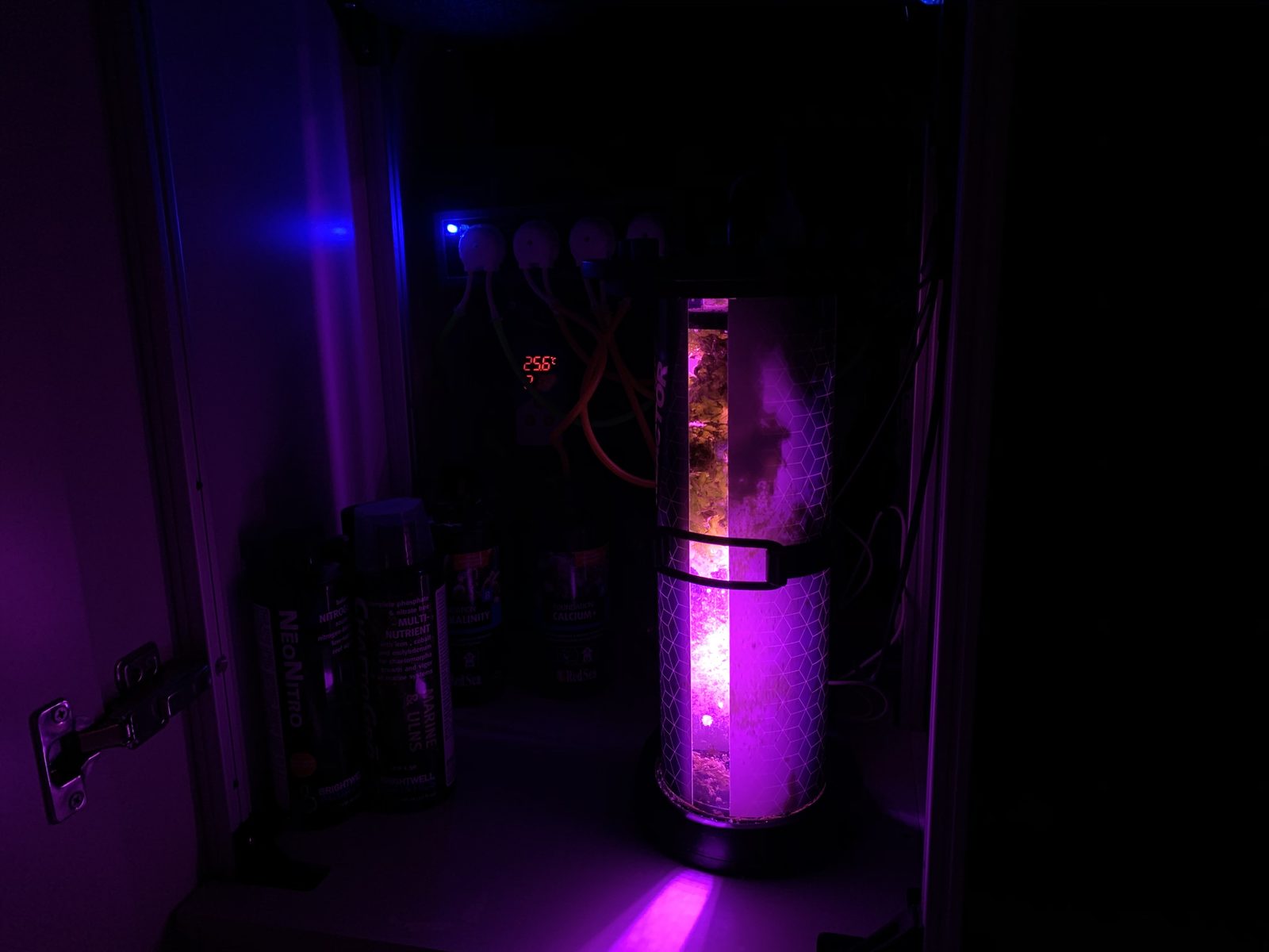 Macroalgae reactor tips - Biological Filtration - Nano-Reef Community