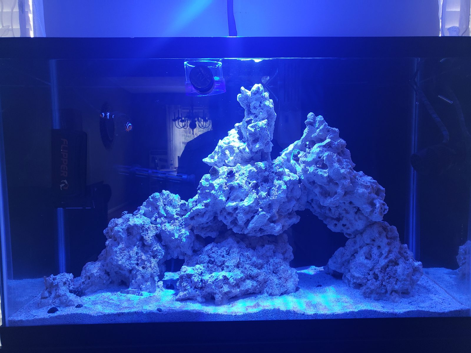 29g - First Tank Build - Starting at Zero - Shut down - Nano Reef ...