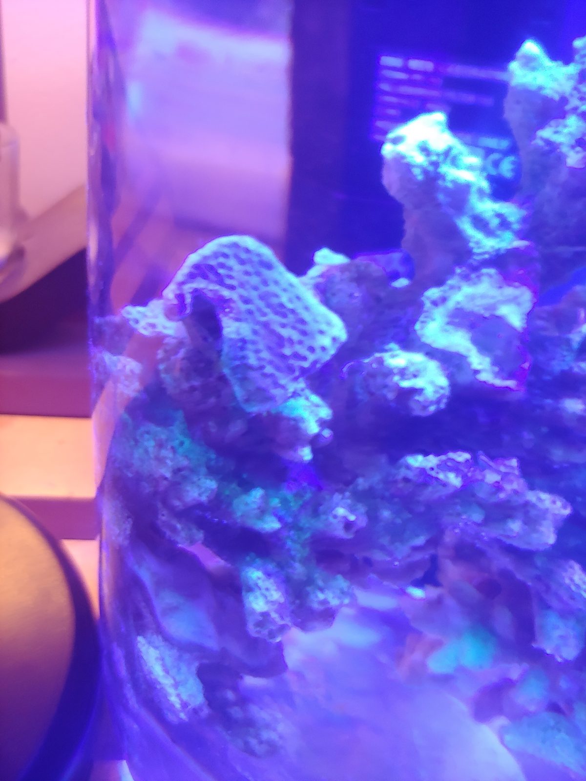Saltwater and alkalinity - Beginners Discussion - Nano-Reef Community