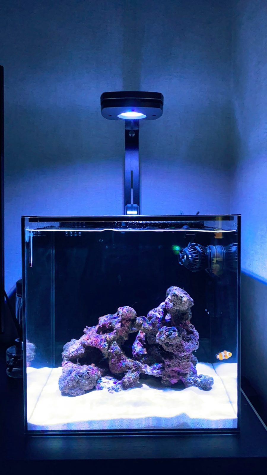 WaterBox 10 Gallon Cube - All-In-One Tanks - Nano-Reef Community