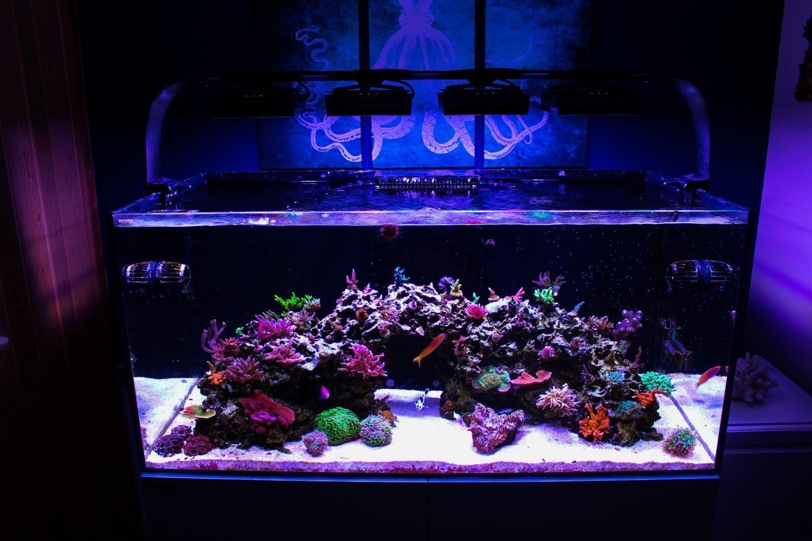 Possible precipitation problems - Water Chemistry - Nano-Reef Community