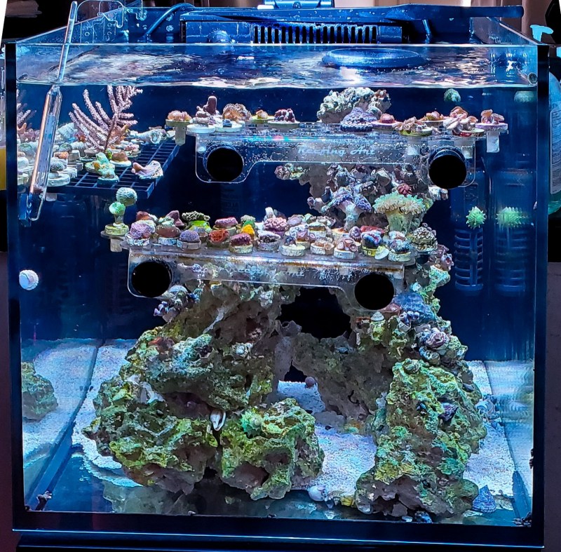 farkwar Red Sea Nano Reefer - Page 2 - Nano Reef Journals - Nano-Reef ...