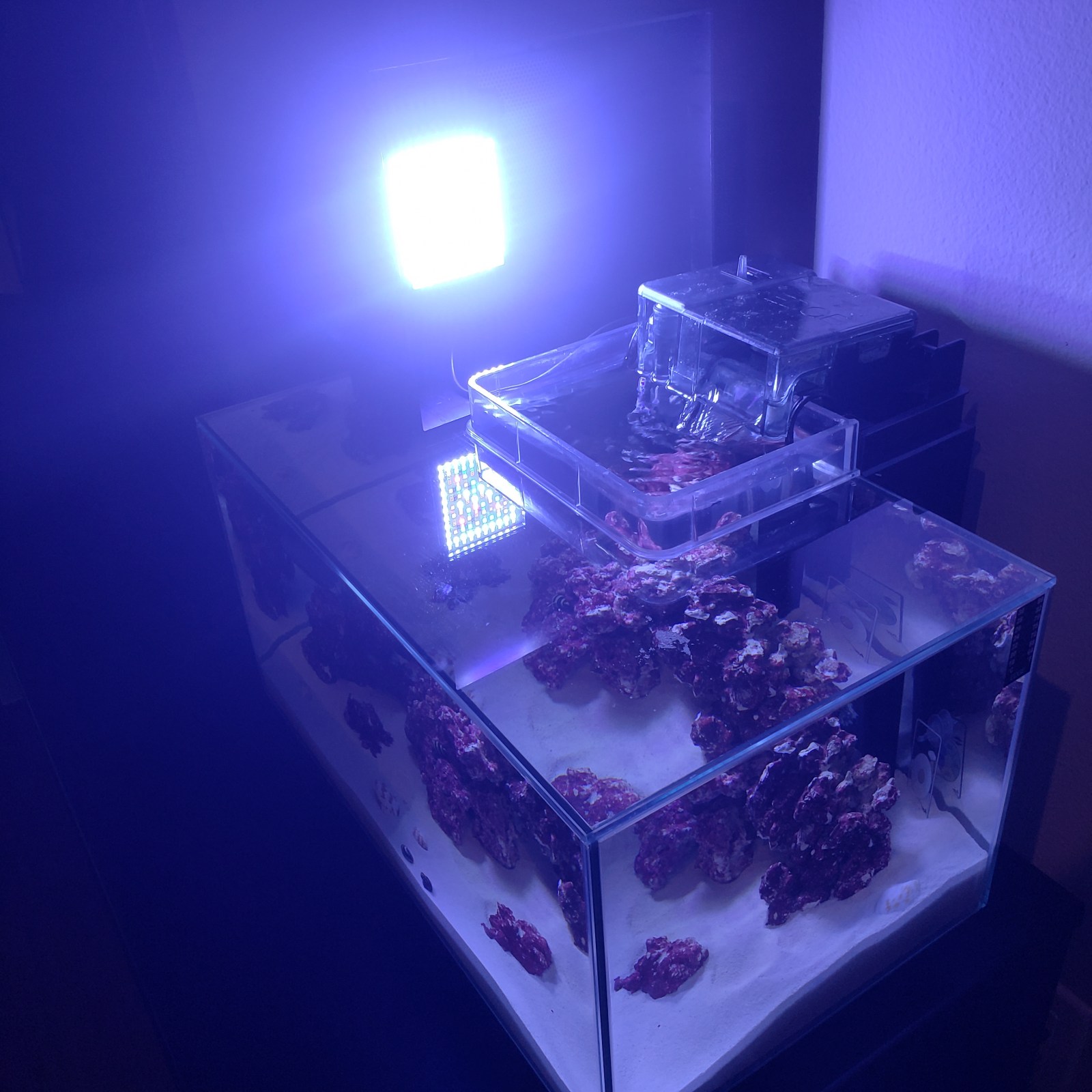 Fluval Edge Nano Reef - Nano Reef Journals - Nano-Reef Community