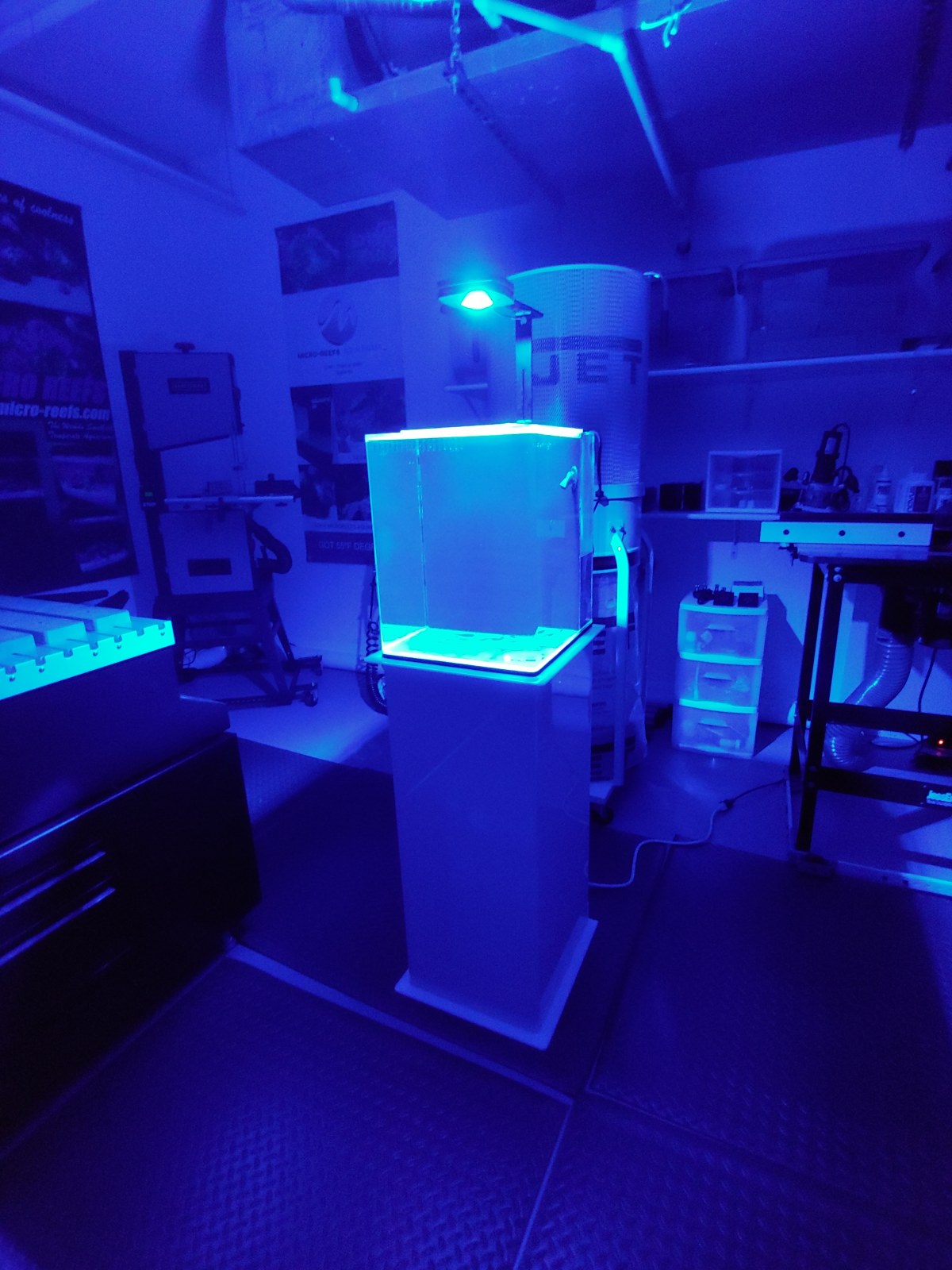 Micro-Reefs Aquariums launches with AI Prime HD .... - Micro-Reefs ...