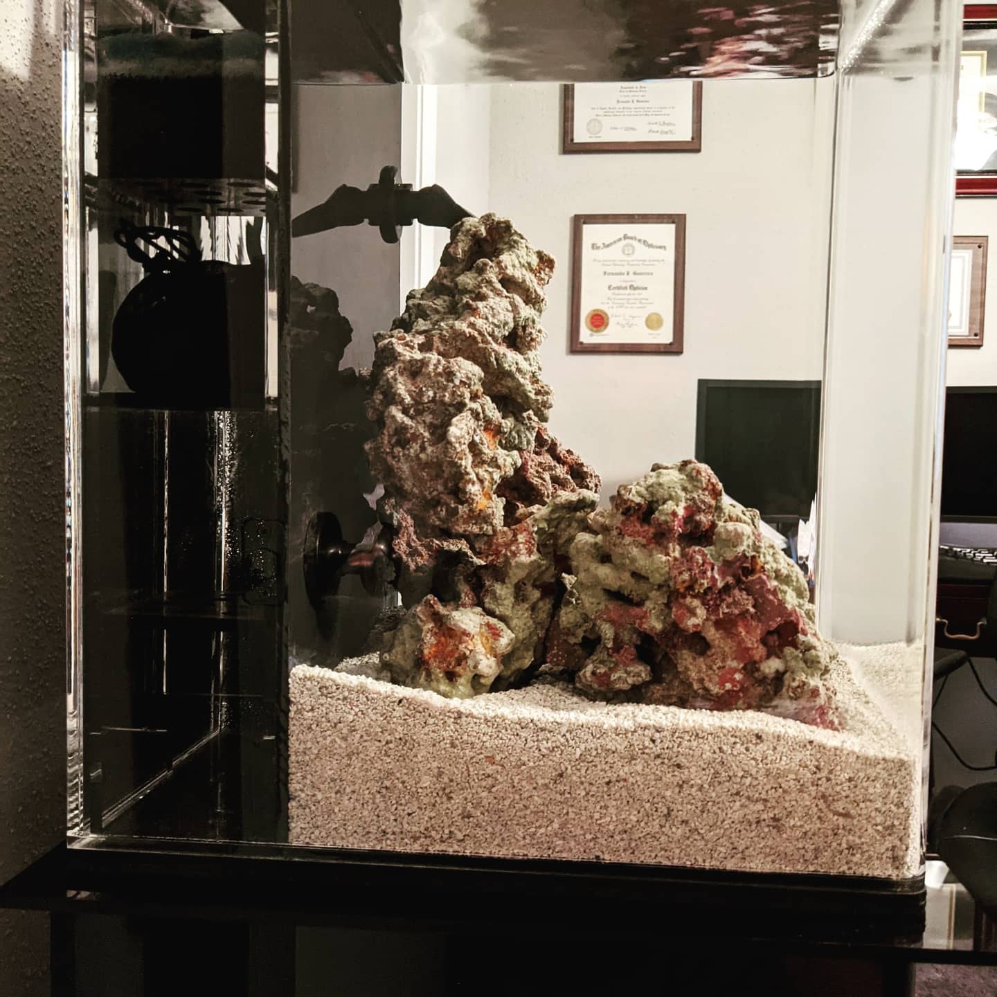 SPS 12.5 Gallon Micro-Reefs Aquariums AIO evolution! - Nano Reef ...