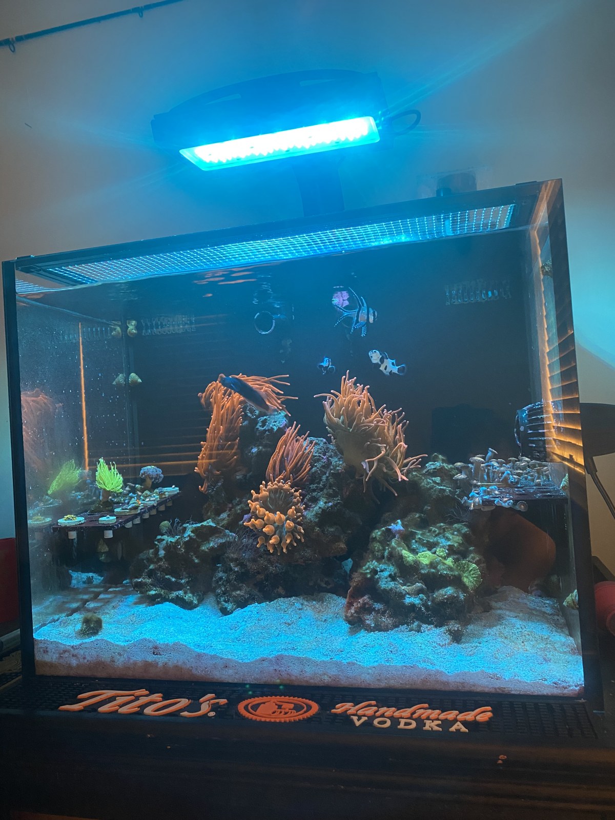 Looking for an ATO for 20 Gallon Long Aqueon - Equipment Forum - Nano ...