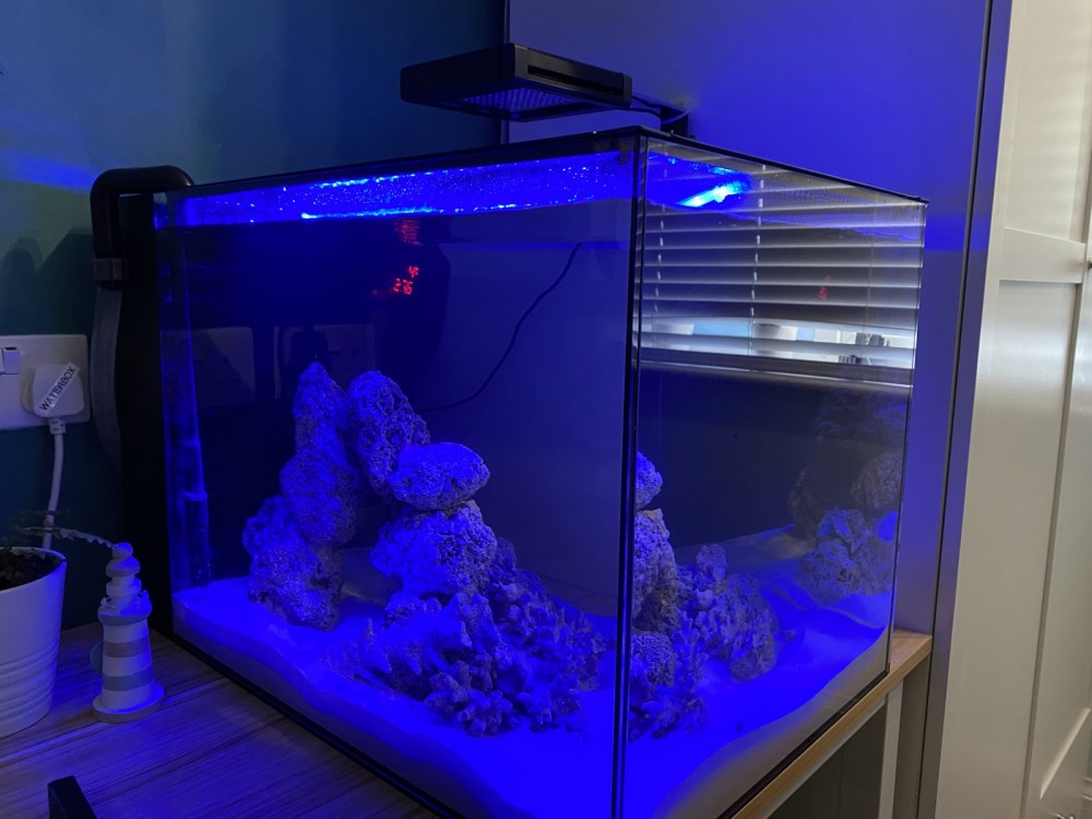 Sams Waterbox Peninsula Mini 25 - Nano Reef Journals - Nano-Reef Community