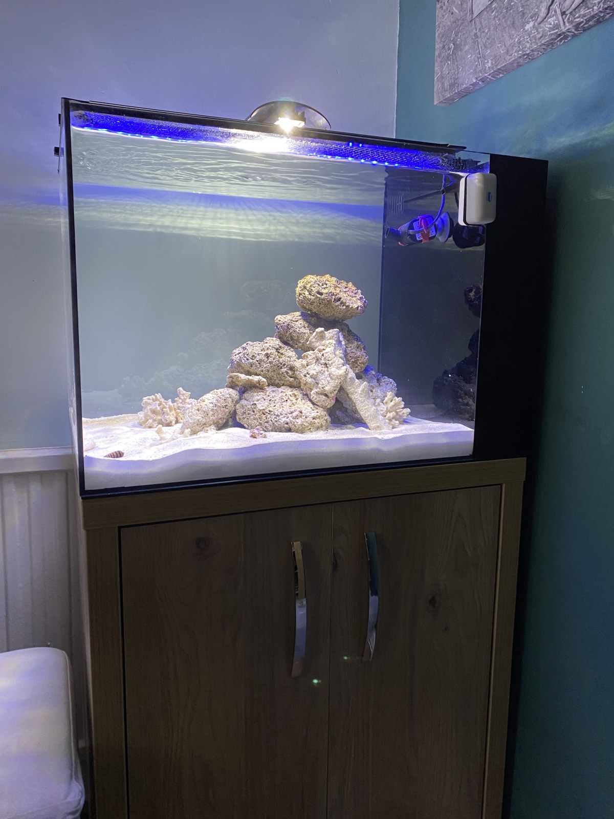 Sams Waterbox Peninsula Mini 25 - Nano Reef Journals - Nano-Reef Community