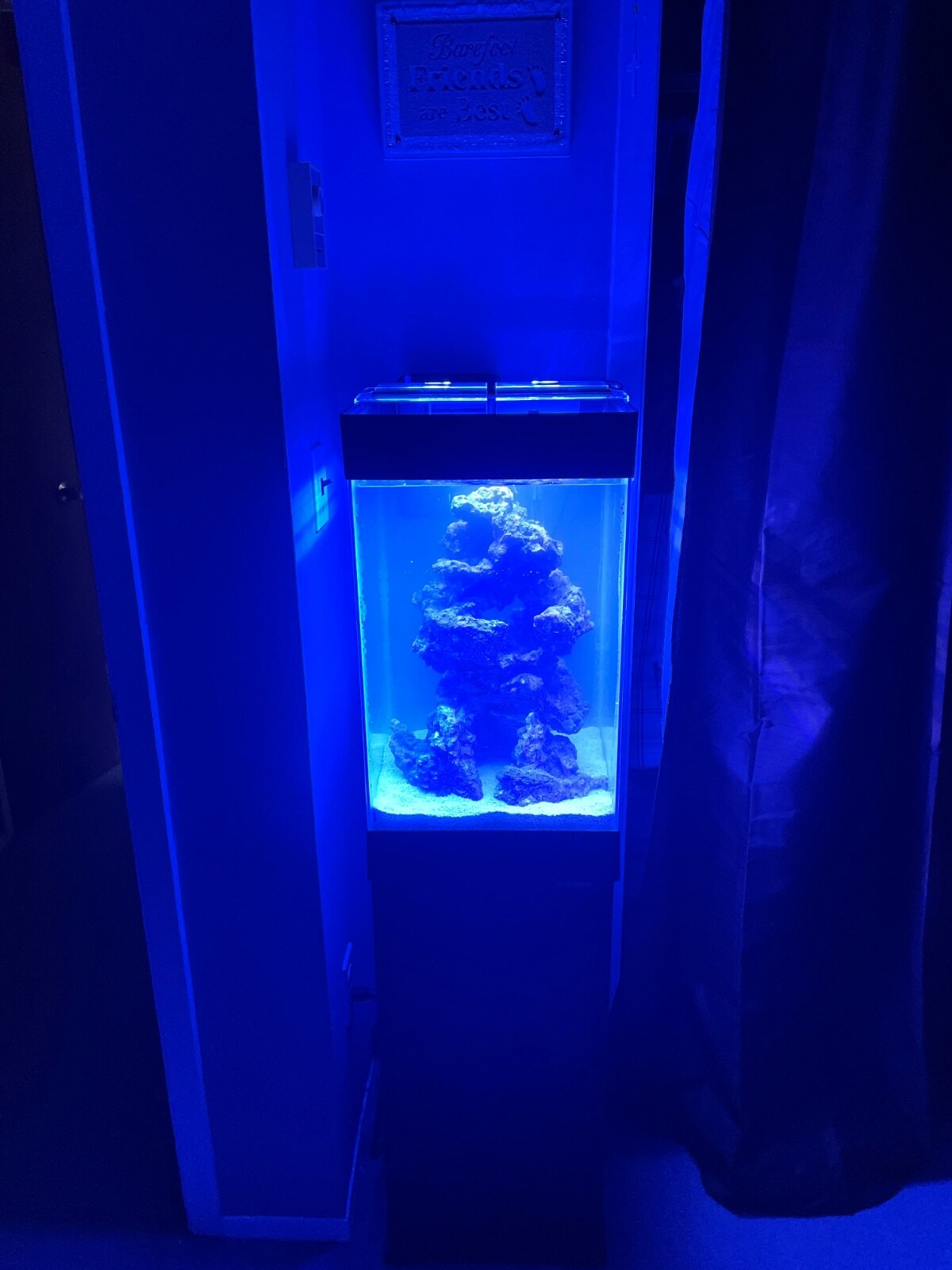15g column tank - Nano Reef Journals - Nano-Reef Community