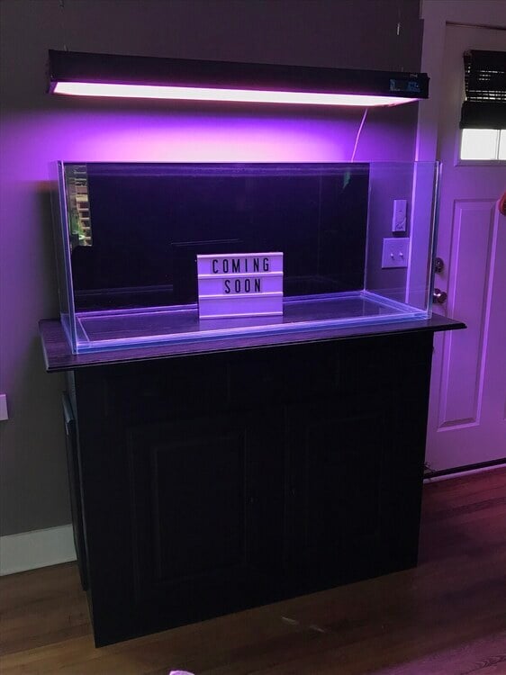 WV Reefer's 75 Gallon Big and Dirty. - Page 57 - Large Reef Journals ...