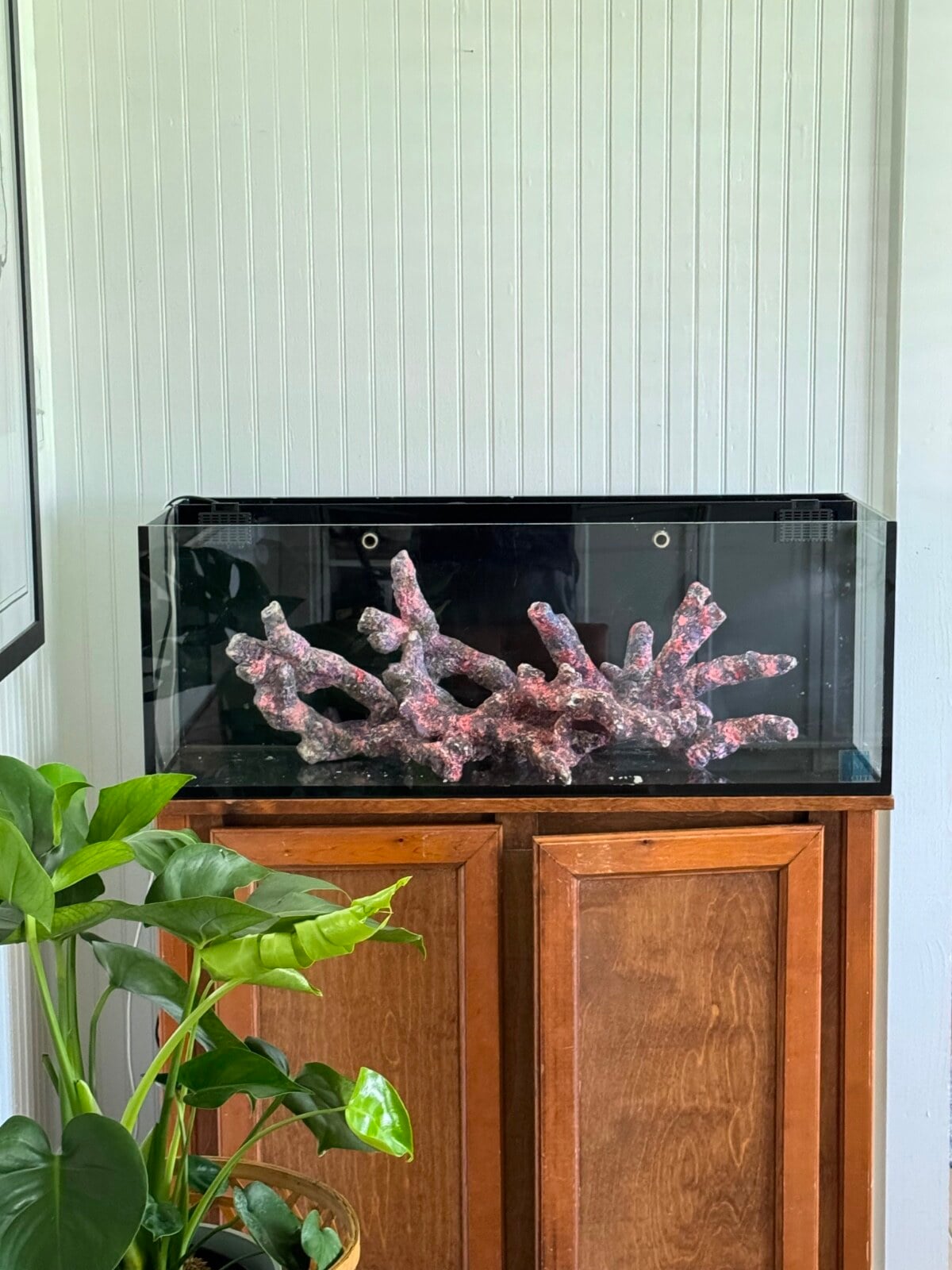 Airedale Reef | Tank Upgrade! - Nano Reef Journals - Nano-Reef Community