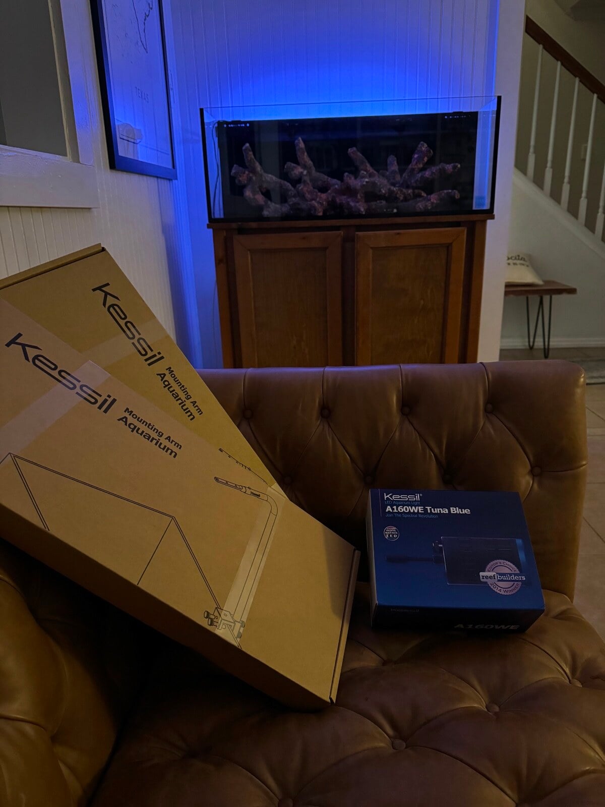 Airedale Reef | Tank Upgrade! - Nano Reef Journals - Nano-Reef Community