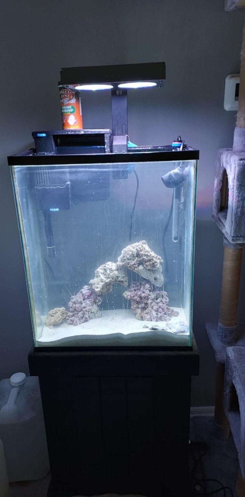 Aquascape Suggestions for a 20G TALL Tank? - Aquascaping Forum - Nano ...