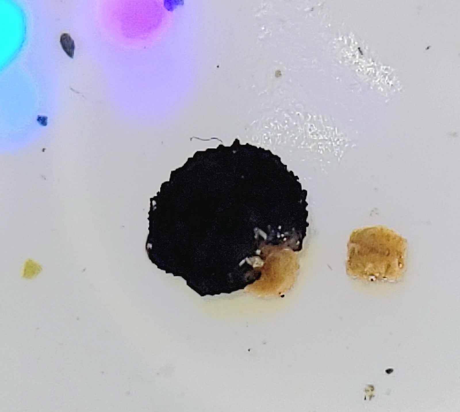 💟 Pico Project (3 gallon JBJ Cubey)(new janky mods) - Page 5 - All-In ...