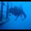 is there anywhere u buy a tank only. - General Discussion - Nano-Reef ...