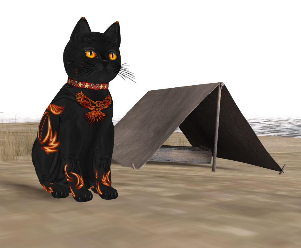 Kittycats support????? :D - General Discussion Forum - Second Life ...